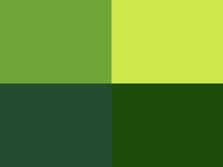 Feng Shui Farben - Farbgestaltung im Feng Shui